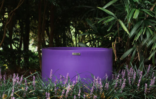 cylindrus 500 bottomless planter by modscene | outdoor furniture | Danske Mobler New Zealand ...
